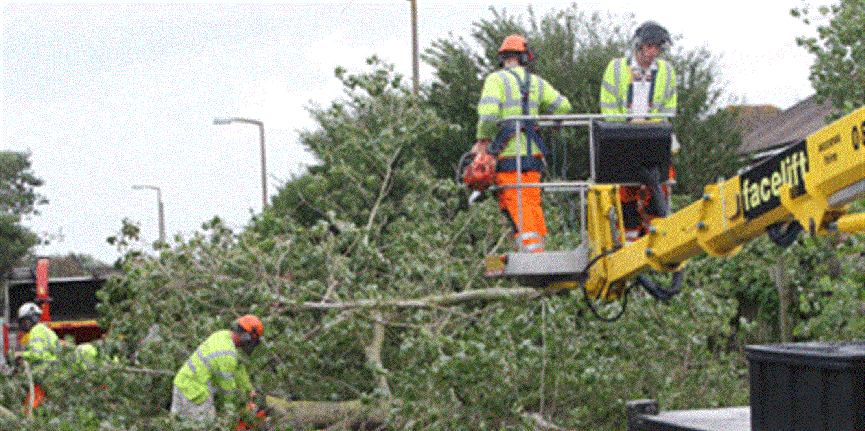 Access platforms lift UK tree surgeons - KHL Group