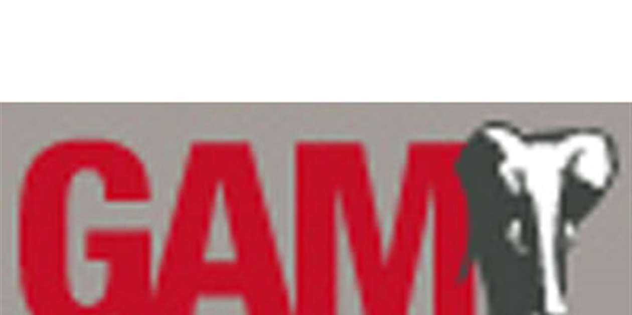 GAM reports dramatic 2012 revenue fall in Spain - KHL Group