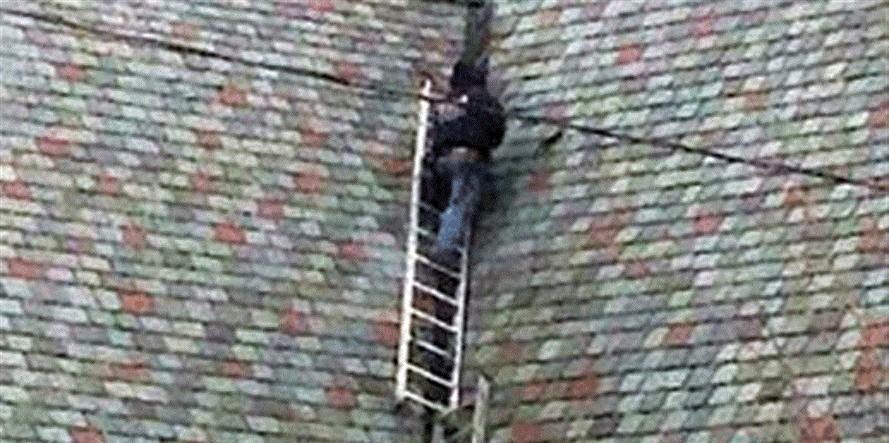 Biggest Idiots on Ladder announced - KHL Group