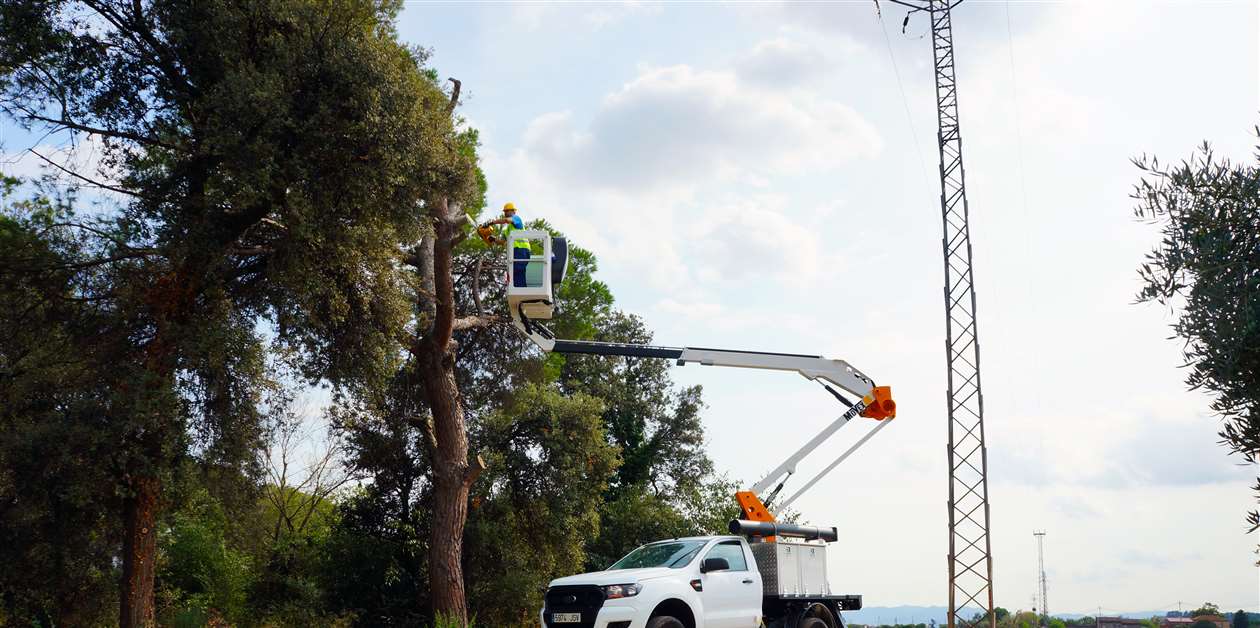 Electric models from Movex - KHL Group